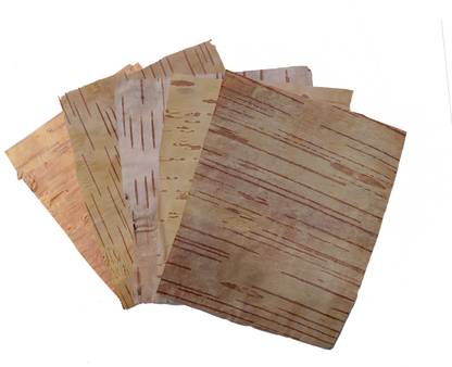 AAPIRA Bhojpatra Sheet for Mantras and Puja ( Premium Quality ) BETULA ...