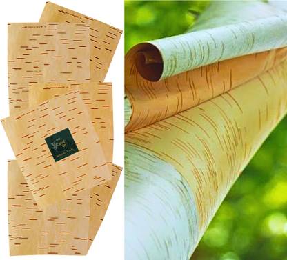 The Atharva-veda 100% Original Pure BHOJPATRA | BETULA UTILIS for ...