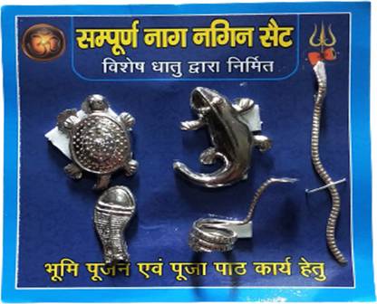 salvusappsolutions Metal Naag Naagin Set for Bhoomi Poojan & Other ...