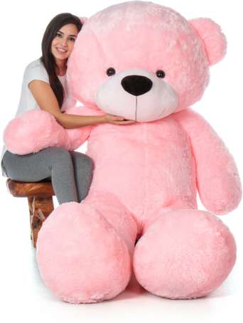 Teddy Bear - Shop for The Best Teddy Bear Online | Shopsy