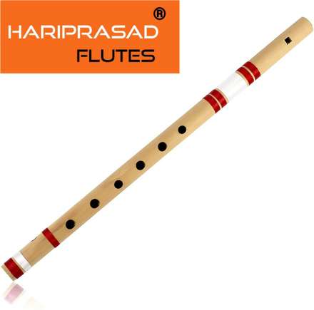 Musical Instruments - Buy Musical Instruments Online at Best Prices In ...