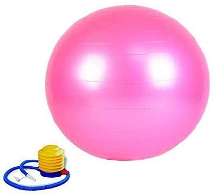 Gym Balls - Shop Exercise Fitness Balls Online in India | Shopsy