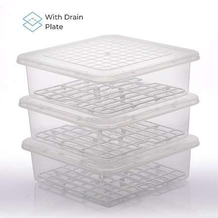 Disposable Food Containers - Buy Disposable Containers Online | Shopsy