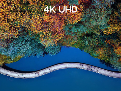 TCL 248 cm (98 inch) Ultra HD (4K) LED Smart Google TV with Dolby ...