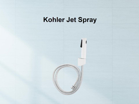 KOHLER 98100IN-0 Jet Spray for Toilet and Bathroom with Hose and Holder ...