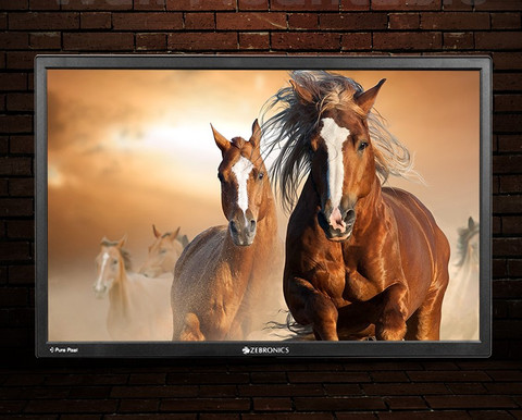 ZEBRONICS Pure Pixel 55.88 cm (22 inch) HD+ LED Backlit VA Panel with ...