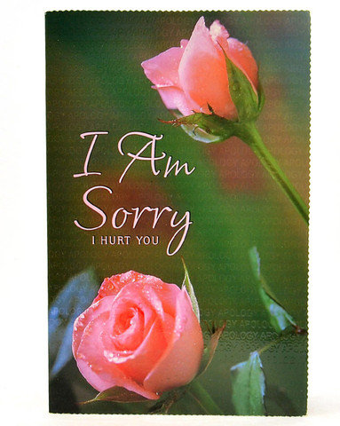 sorry with rose