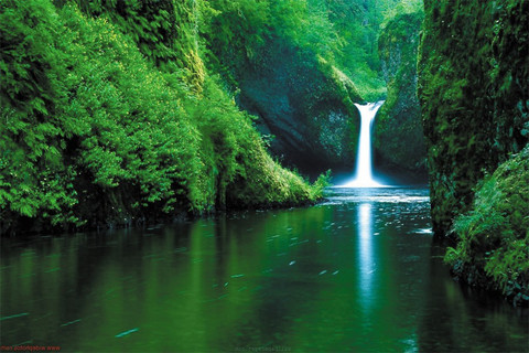 nature background 4k