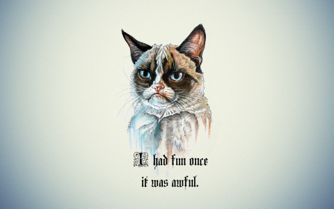 grumpy cat saying good