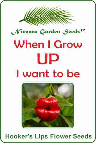 Nirzara Garden Seeds Hooker's Lips Seed Price in India - Buy Nirzara ...