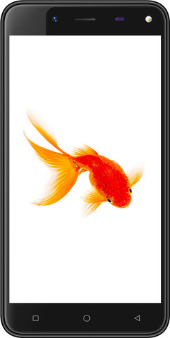 karbonn titanium frames s7