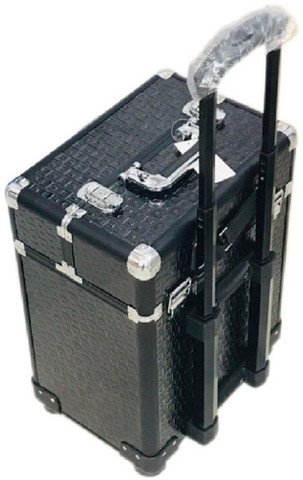 big makeup vanity case