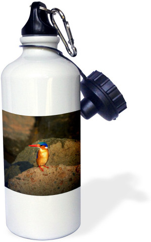 kingfisher flask