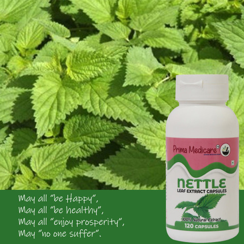 stinging nettle leaf capsules