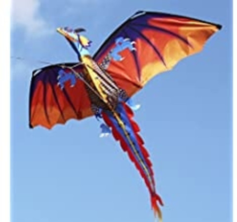 dragon kites