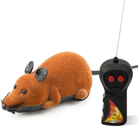 rc mouse