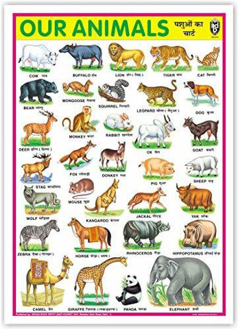 indian animals chart