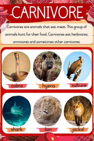 carnivore poster