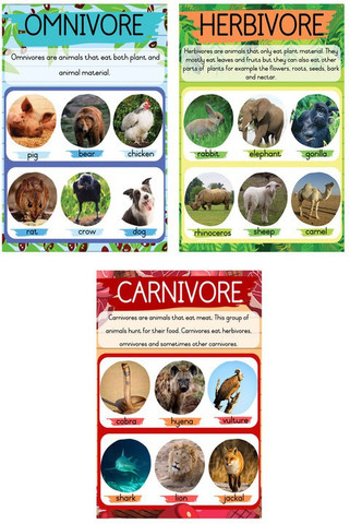 carnivore poster