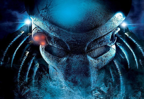 predator arnold wallpaper