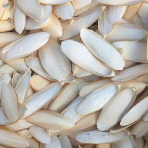 cuttlefish bone powder