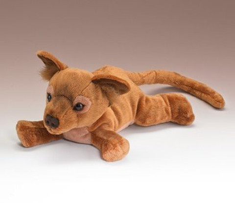 fossa teddy