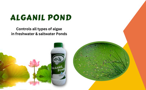 pond algae remover