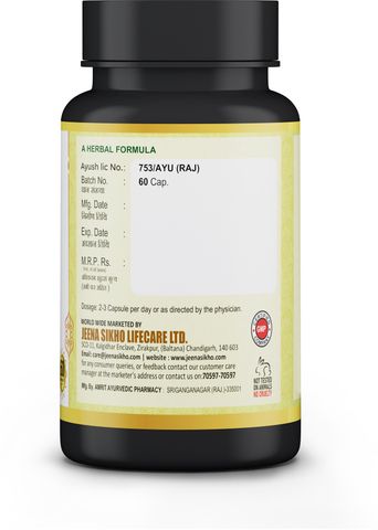 Jeena Sikho Liv Balance Capsules | Herbal Liver Detox & Care Supplement ...