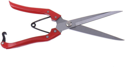 sheep wool cutting scissors