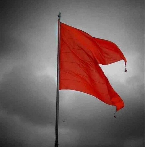rss hindu flag