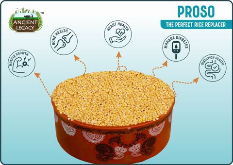 ANCIENT LEGACY Native Low GI Millet Rice | High Protein & 100% More ...