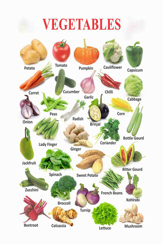 vegetables name chart paper