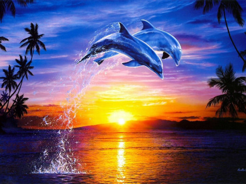 dolphin tale poster