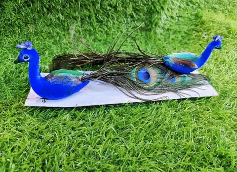 peacock artificial