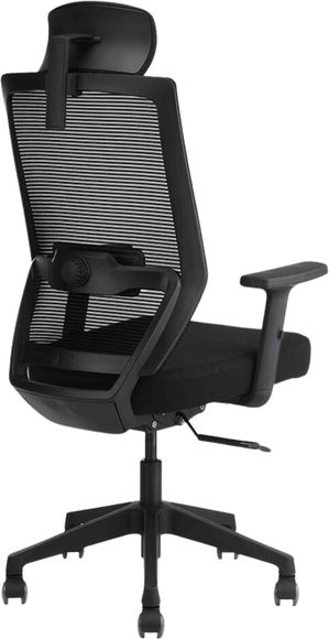 BOSQ Ergonomic Living Mesh Office Adjustable Arm Chair Price in India ...