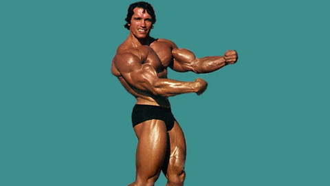 wallpaper arnold schwarzenegger bodybuilding