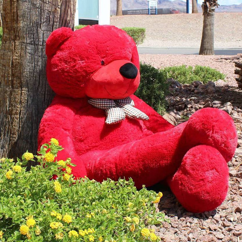 red bear teddy
