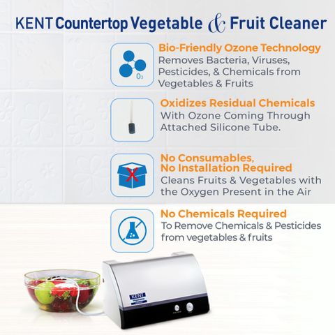 KENT Vegetable Cleaner - Counter Top 250 W Food Processor Price in ...
