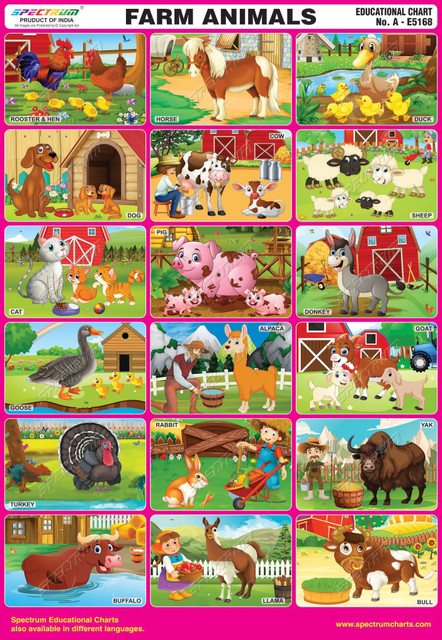 farm animals chart