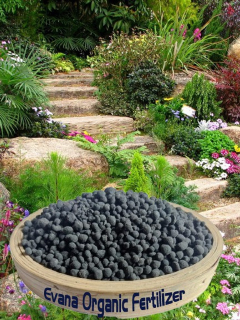 Evana Organic Fertilizer Organic Super Phosphate Fertilizer Manure for ...