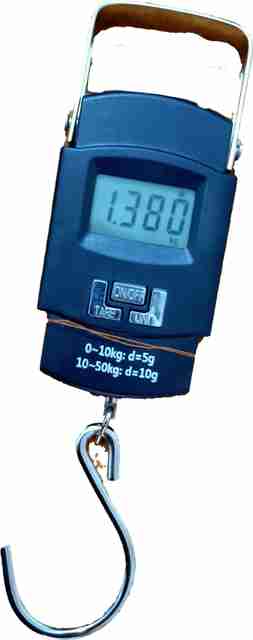 Qesta Hanging Scale Digital Hand Scaller Luggage Scales up to 50 kg ...