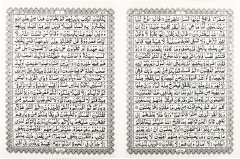Quran Para Set 1-30 Complete (18 Lines) With Special Metallic Cardboard ...