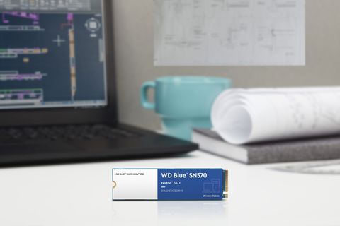 WESTERN DIGITAL WD Blue NVMe SN570 500 GB Laptop, Desktop Blue PCIe ...
