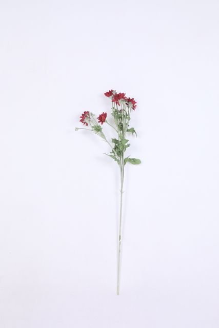 DECORZ AND CO European Red Daisy Artificial Flower Red Daisy Artificial ...