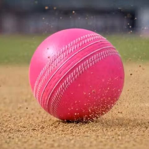 spp i20 Cricket Ball 120g, High Visibility Pink, Synthetic Seam Cricket ...