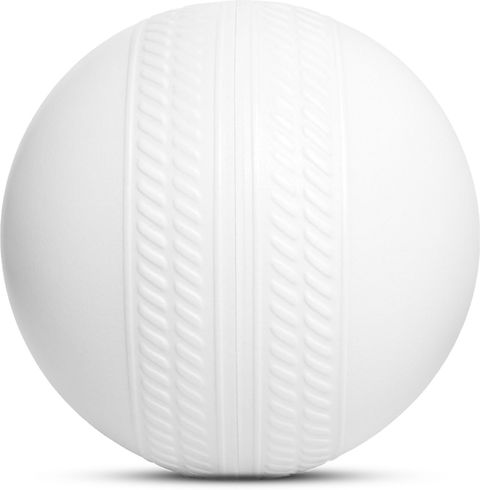 Fervor Spel FS Plastic Ball White Non Toxic (70gm Per Ball) Cricket ...