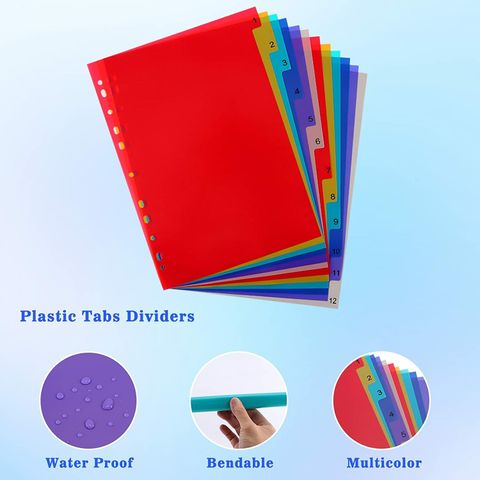 True-Ally A4 Plastic Separator,12-Tab Binder Dividers, Write & Erase ...