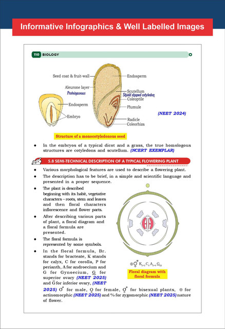 Disha's New Syllabus NCERT Tablet Biology for NEET (UG) 2026 - 4th ...