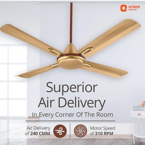 Orient Electric Quadro Ornamental 1200MM 4 blade Golden Chocolate ...