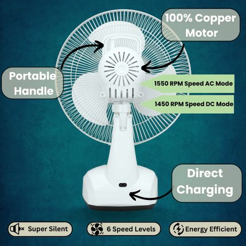 Benjamin BEN-5912 AC/DC Rechargeable Battery Fan 12 Inches Blade with ...